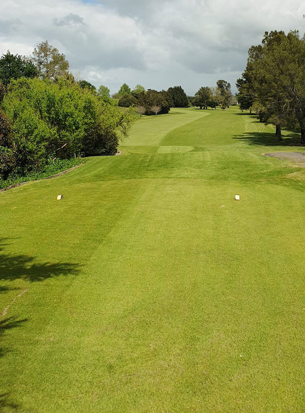 Memberships – Thames Golf Club